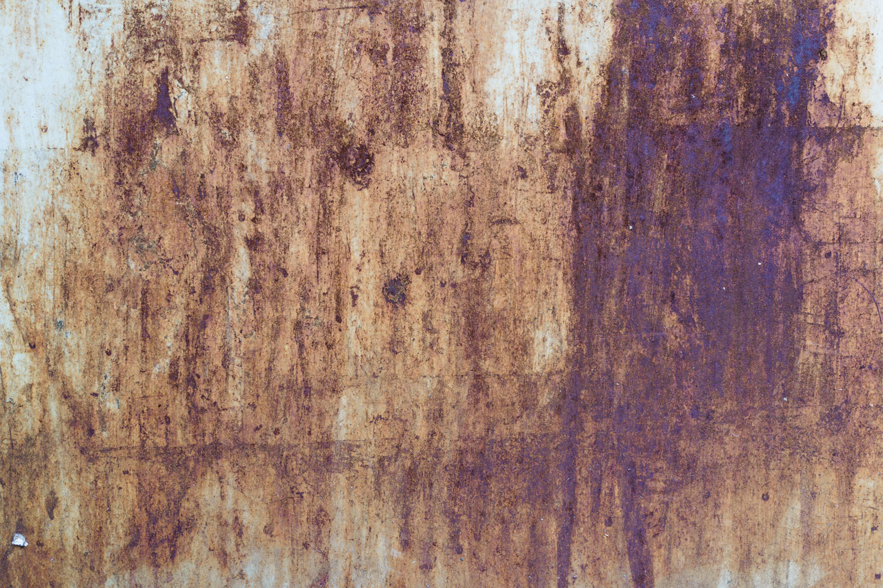 Free Download: Wild Textures